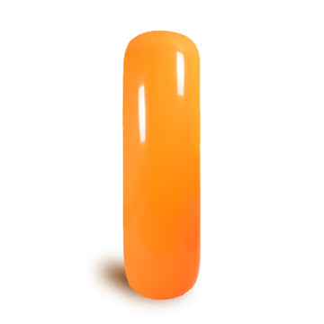 RIDE ROLLS – SHOSU Amsterdam